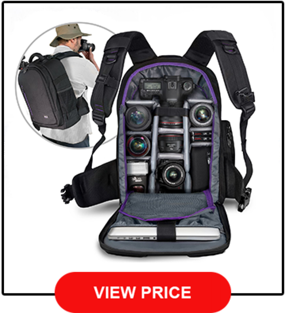 Best Camera For Surfing Photography Reviews: See The Top 4 [2021]