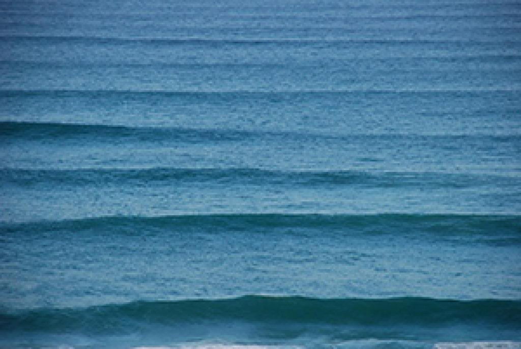 How To Read A Surf Report: A Comprehensive Guide - Fin Bin