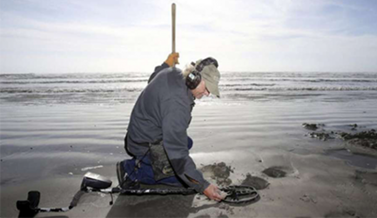 Best Beach Metal Detector Reviews: The Top 8 + Buyer's Guide [2021]