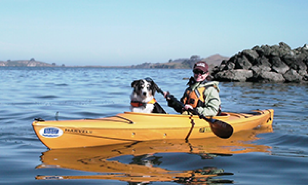 How Hard Is Kayaking? [2021 Update] - What Beginners Need To Know